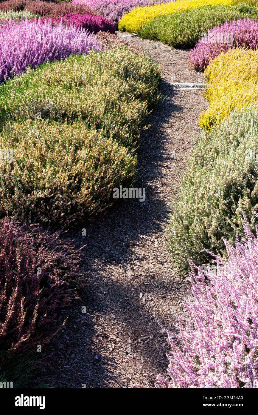 Garden Path Edging High Resolution Stock Photography and Images - Alamy