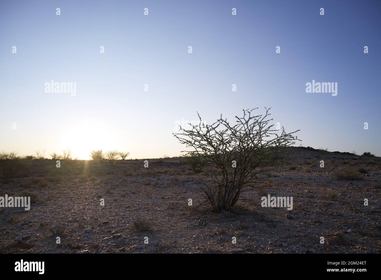 Empty landscape on a sunny day Stock Photo - Alamy