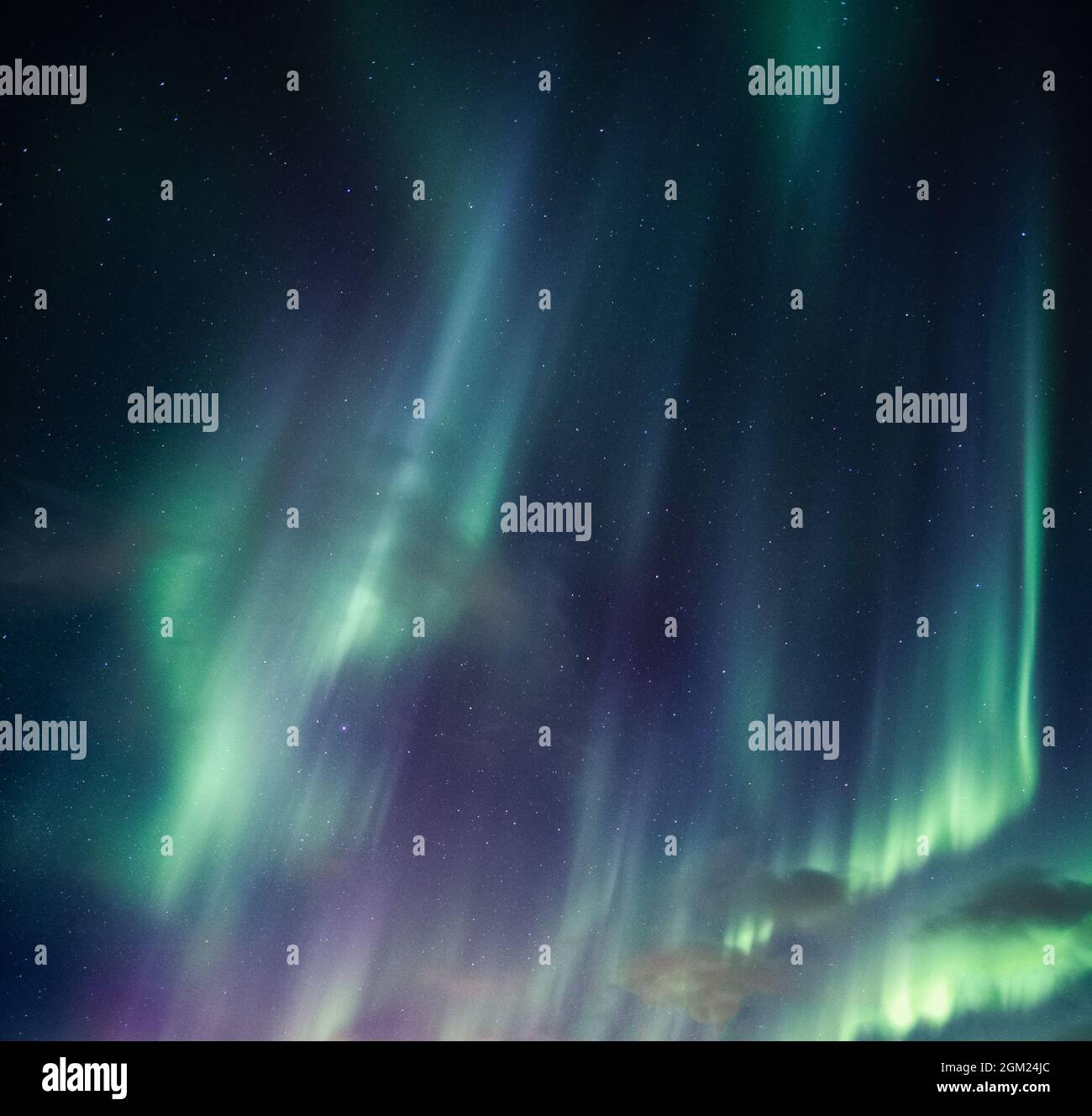 Green Aurora borealis, Northern lights with stars glowing in the night ...