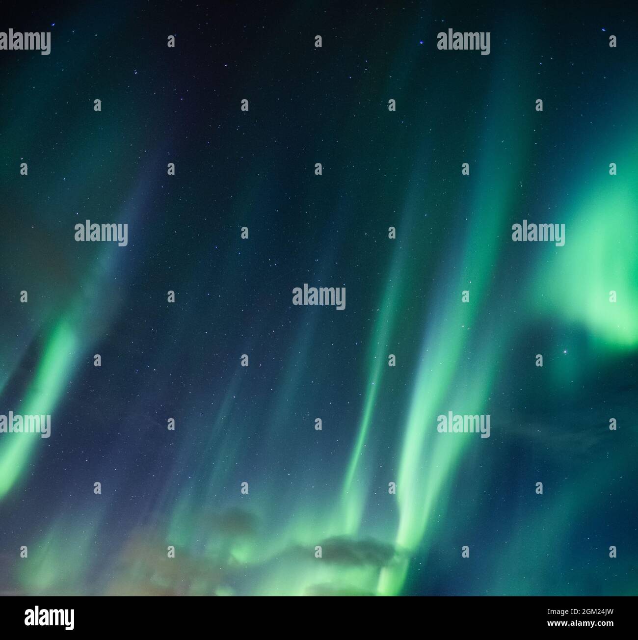 Green Aurora borealis, Northern lights with stars glowing in the night ...