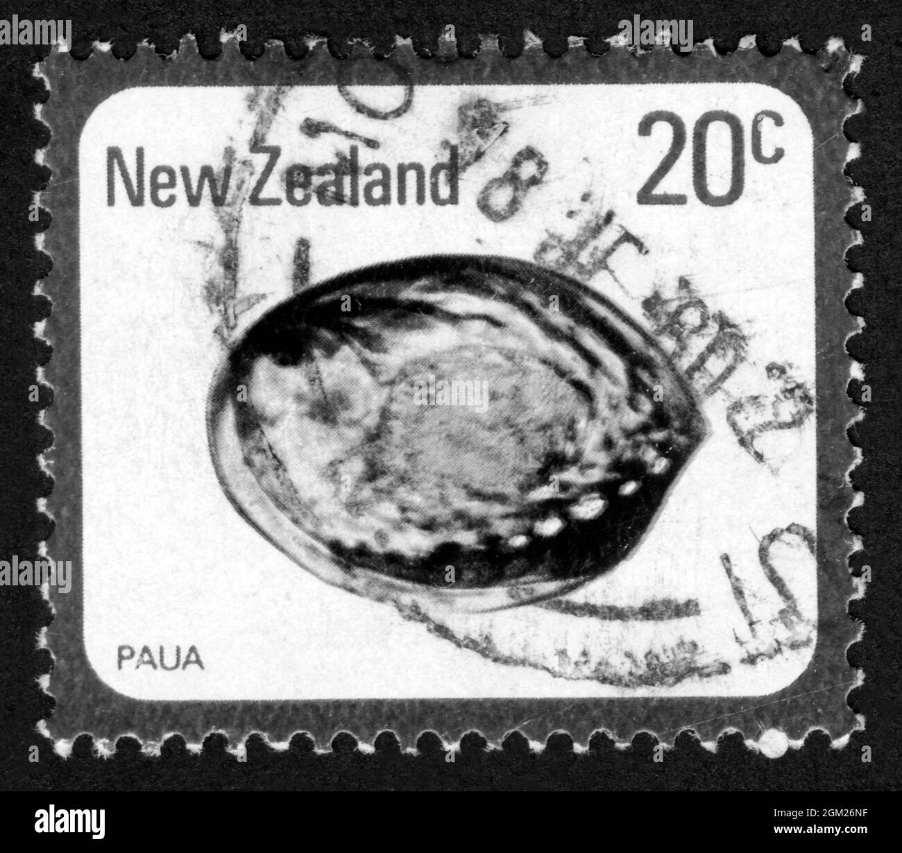 Paua images hi-res stock photography and images - Alamy