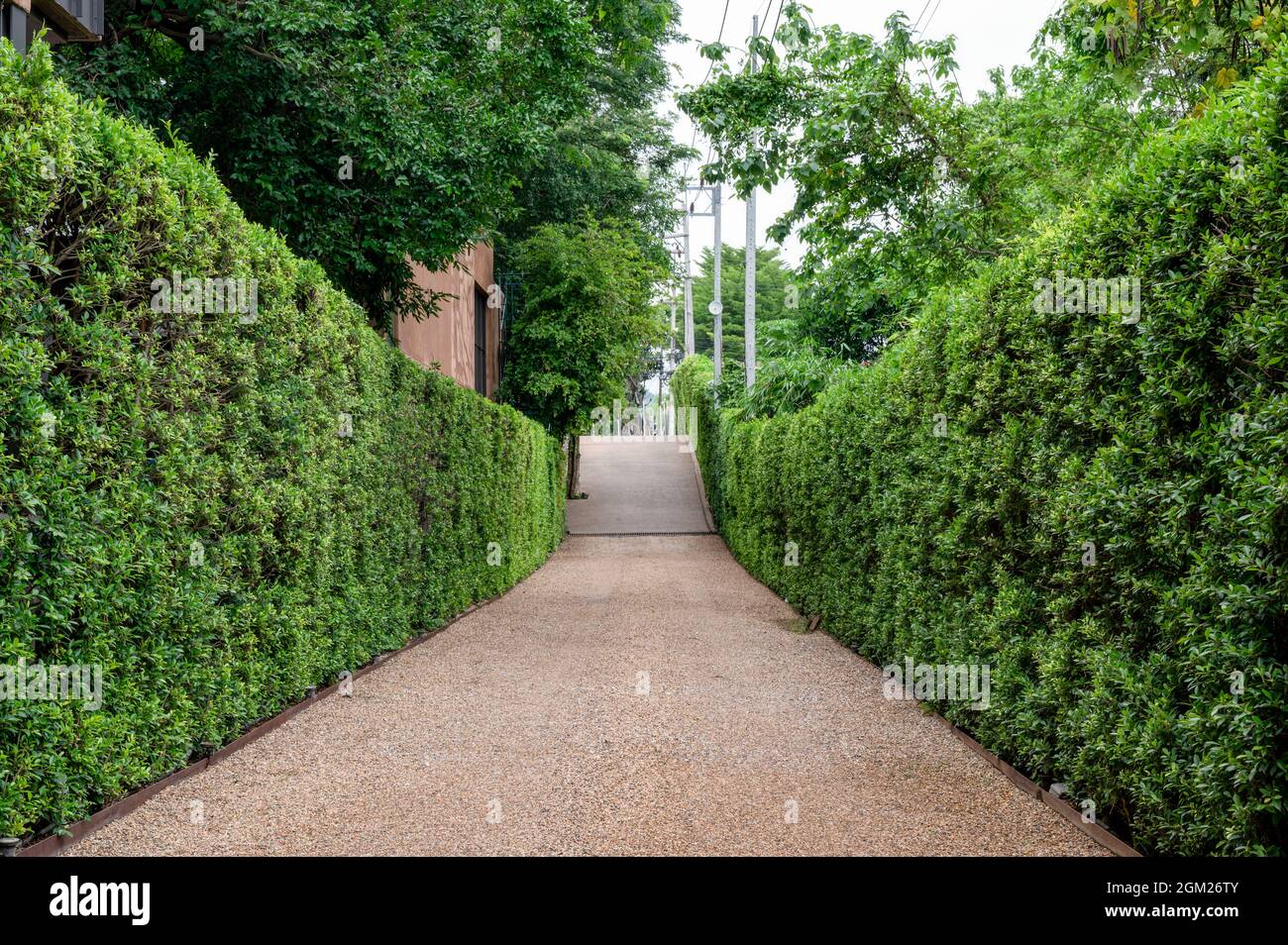 Natural green bush garden and gravel walkway Stock Photo - Alamy