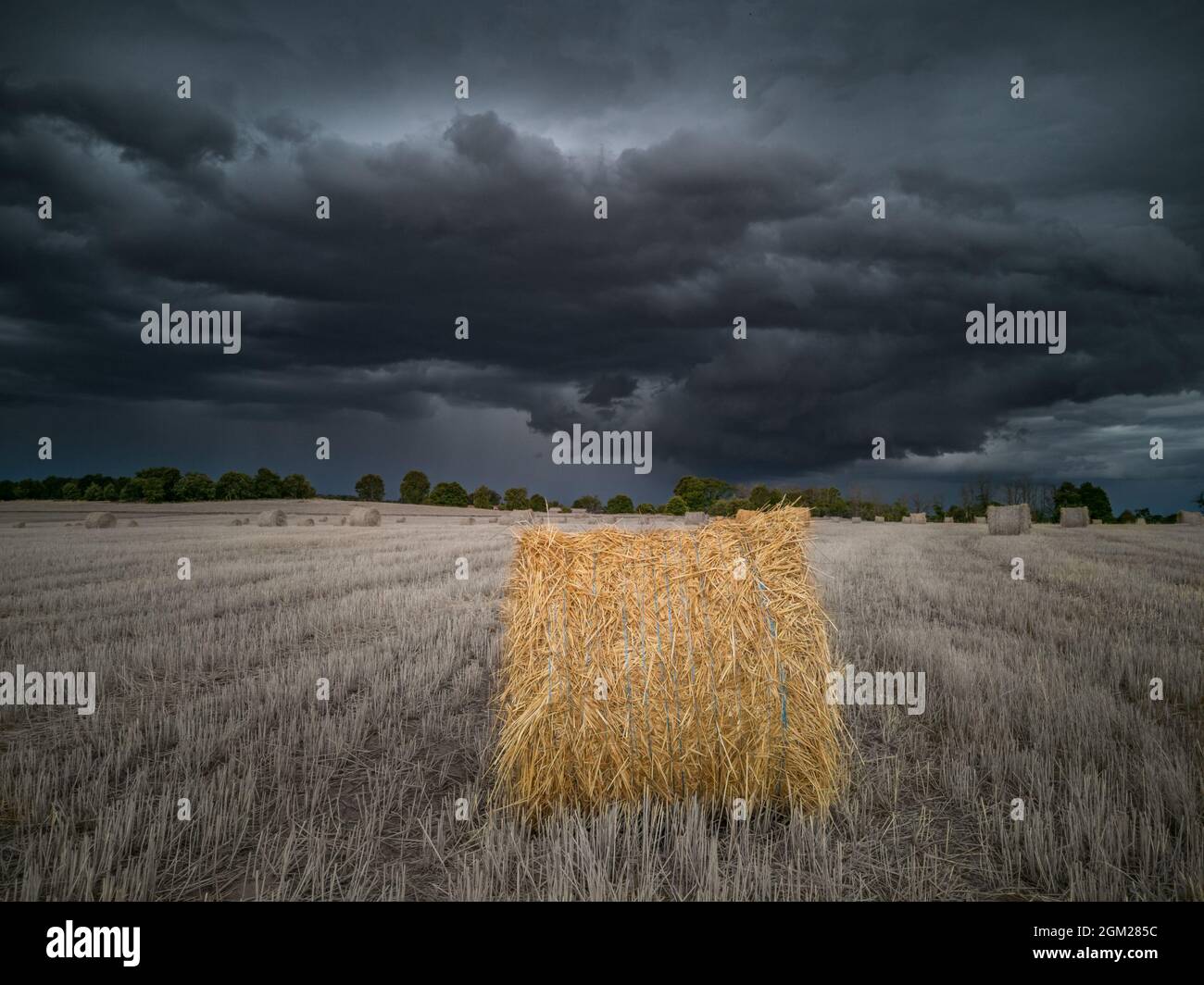Ball of straw hi-res stock photography and images - Alamy