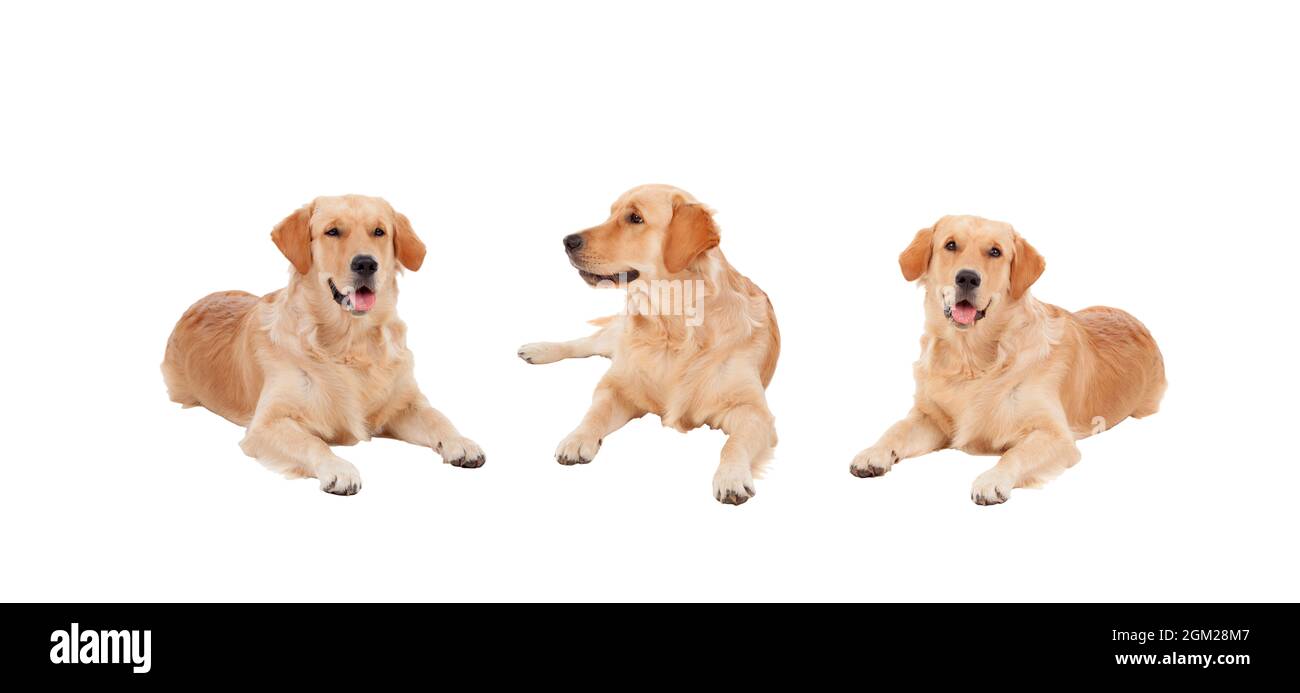 Body standing lying sitting hi-res stock photography and images - Alamy