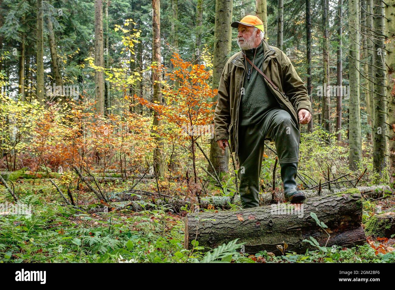 A hunter makes a stalking through his hunting grounds and climbs over a ...