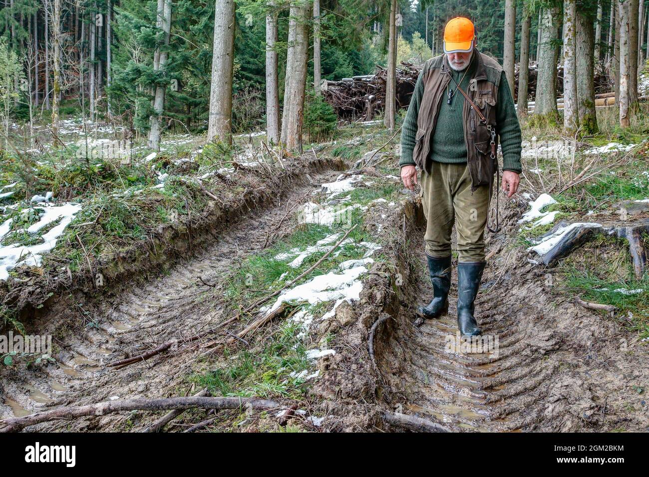 A hunter goes through his hunting area and looks worriedly at the deep ...