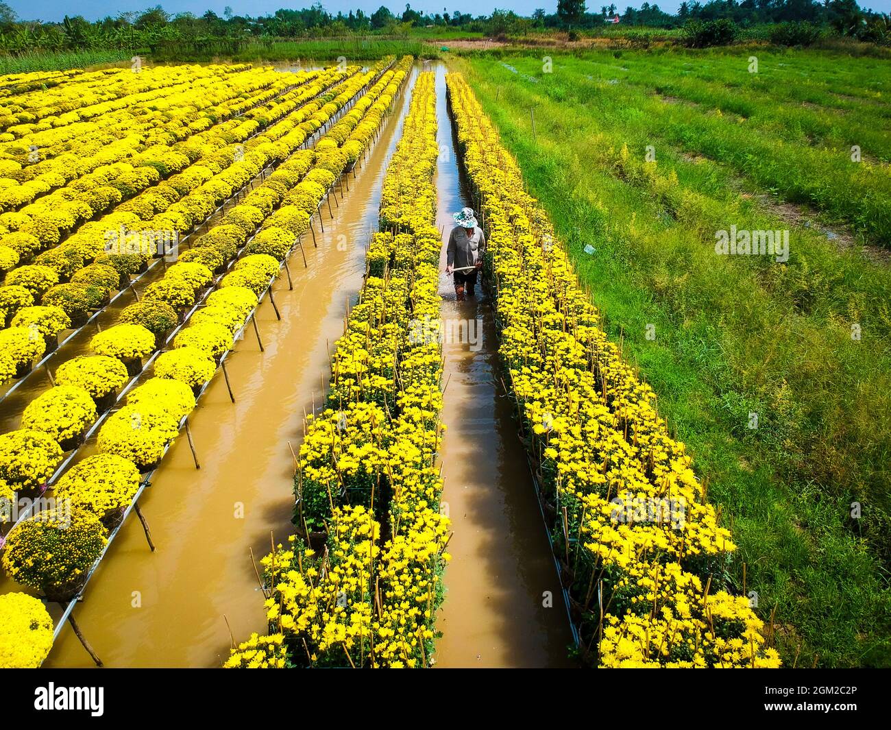 Sa Dec flower village in Dong Thap province southern Vietnam Stock ...