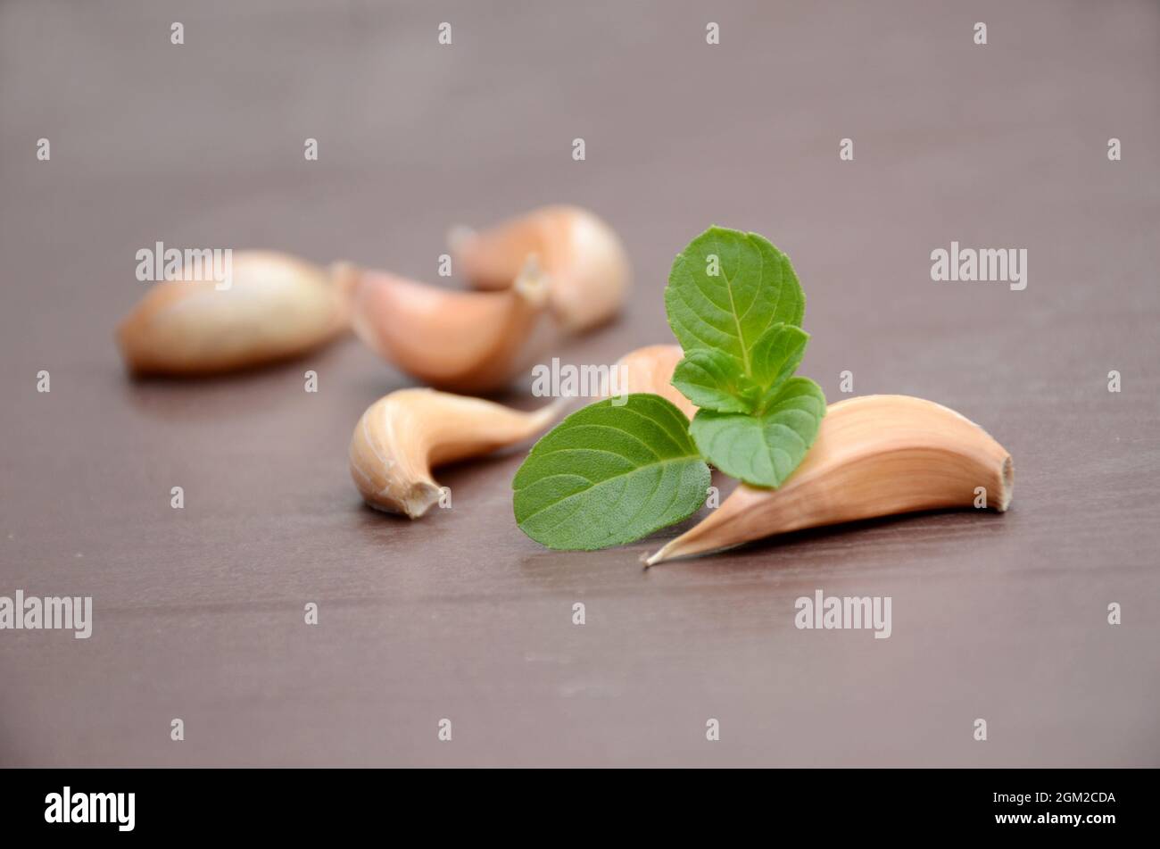 Selective focus shot of slices of brown garlic with green mint over a ...