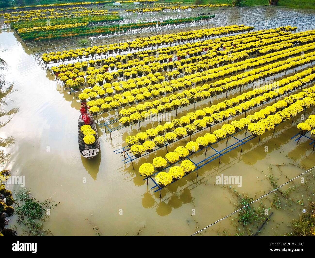 Sa Dec flower village in Dong Thap province southern Vietnam Stock ...