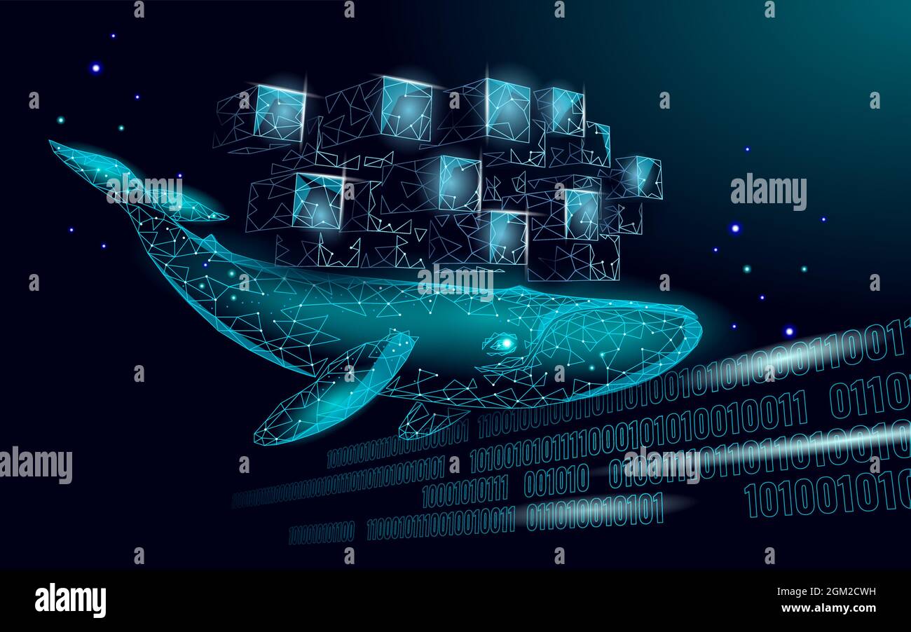 Whale And Container Computer Docker Developer App Concept Business Digital Open Source Program