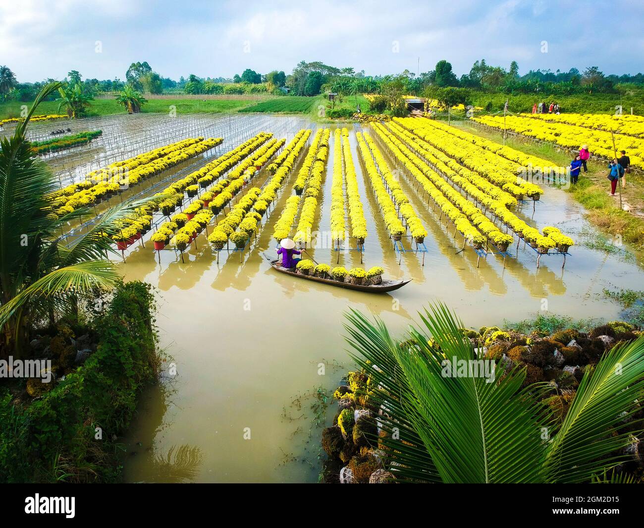 Sa Dec flower village in Dong Thap province southern Vietnam Stock ...