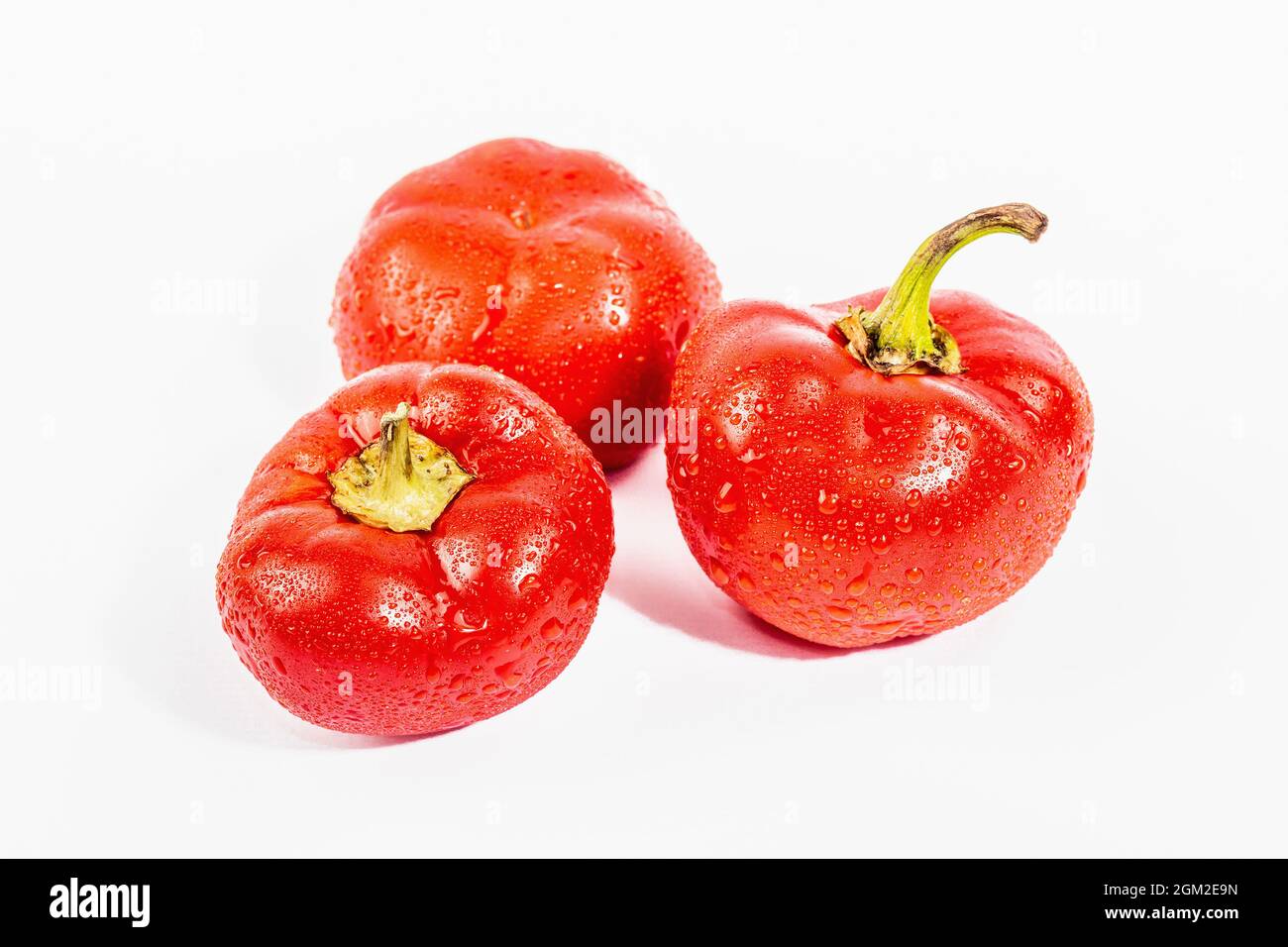 Ripe red round peppers isolated on white background. Fresh vegetables ...