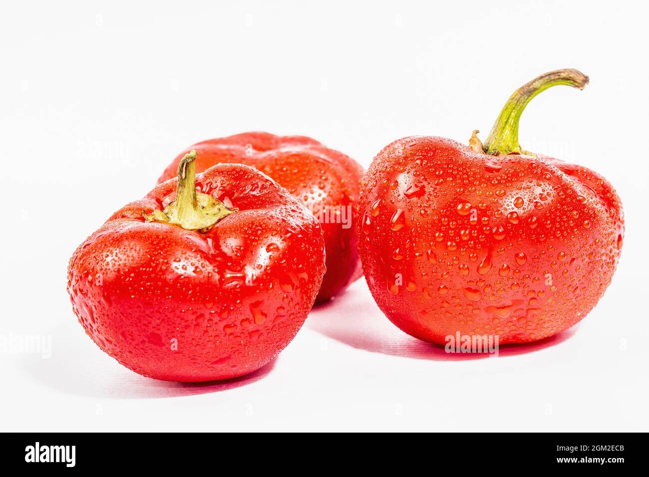Ripe red round peppers isolated on white background. Fresh vegetables ...