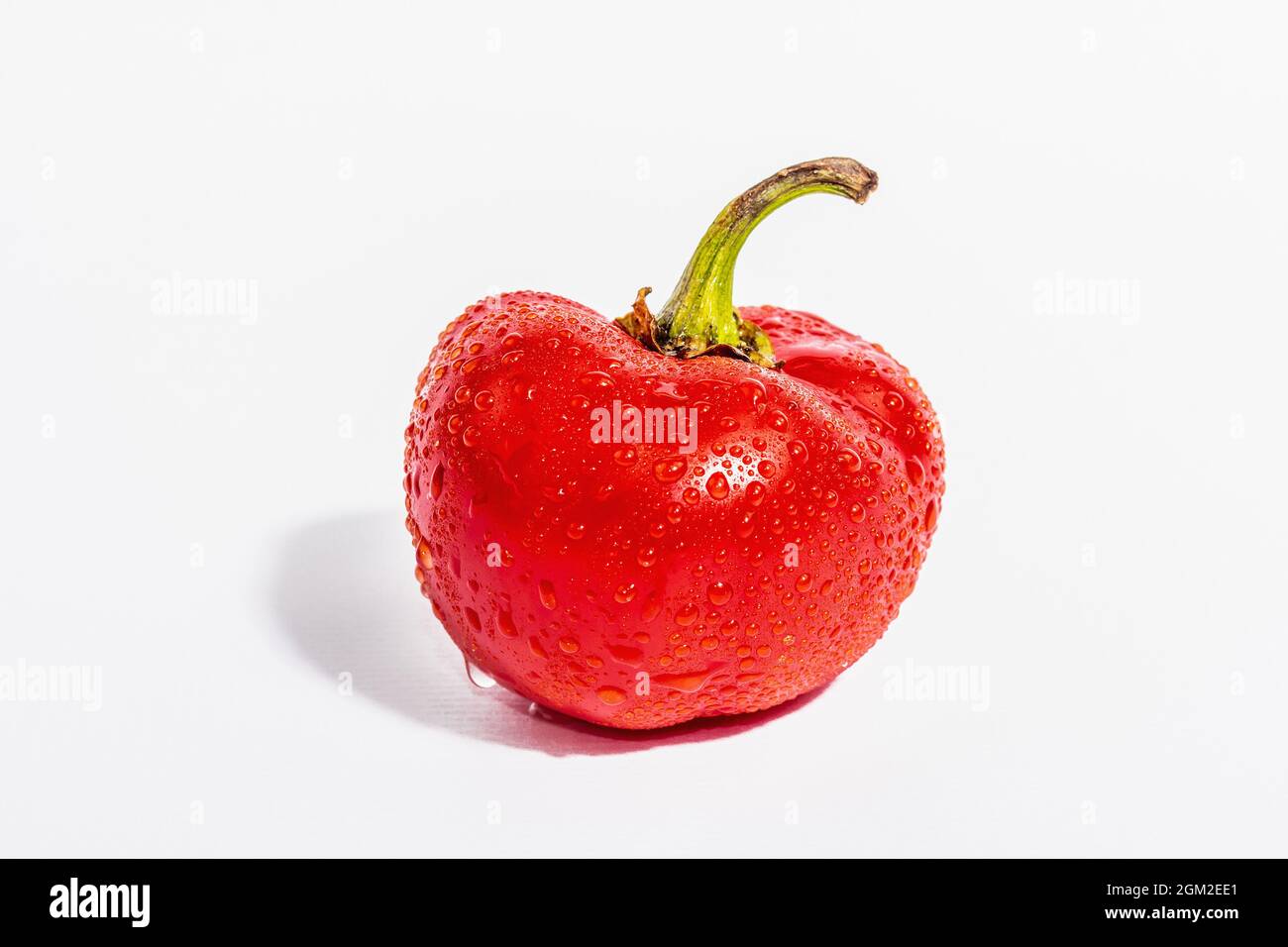 Ripe red round pepper isolated on white background. Single fresh ...