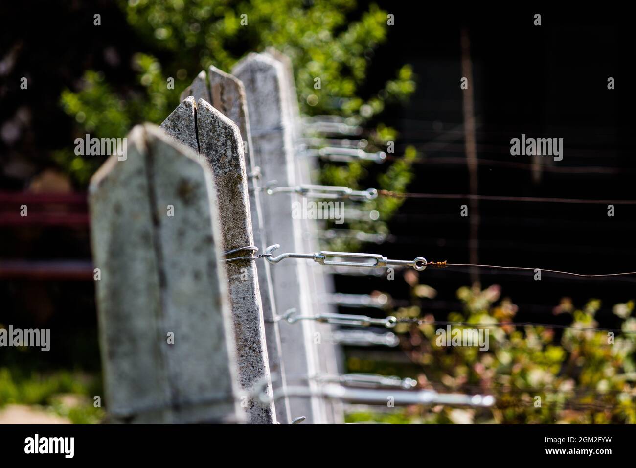 Translucent barrier hi-res stock photography and images - Alamy