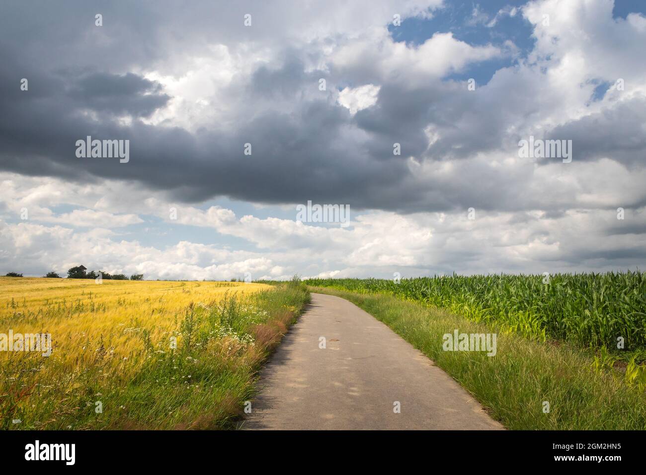 a path in the landscape - a road leading to the horizon between two ...