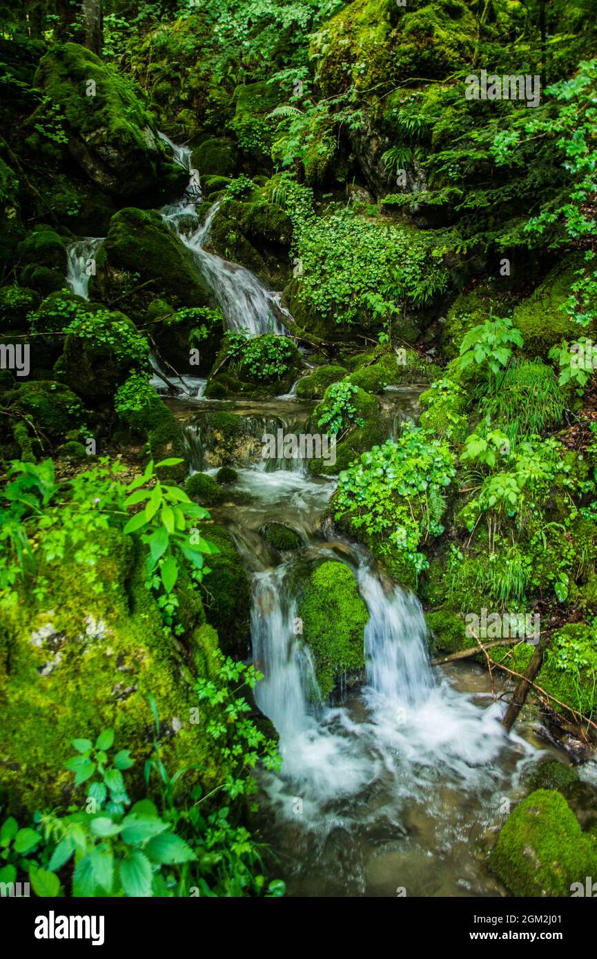 Bellevaux hi-res stock photography and images - Alamy