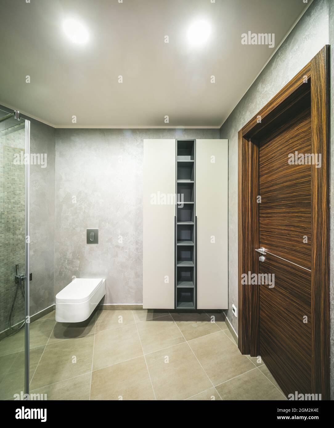 Modern interior of bathroom in luxury apartment. Wooden door. White ...