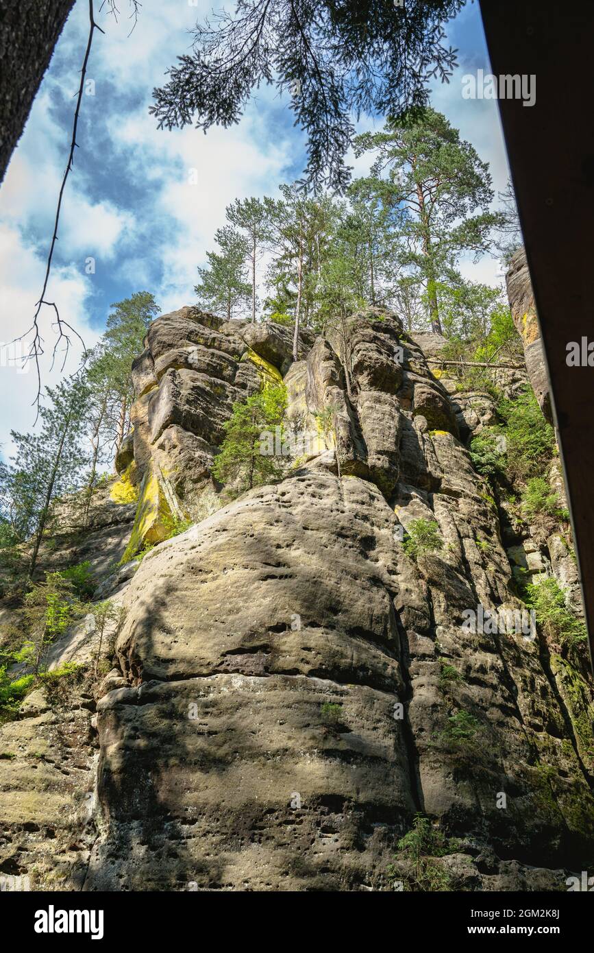 Forest on cliffside hi-res stock photography and images - Alamy