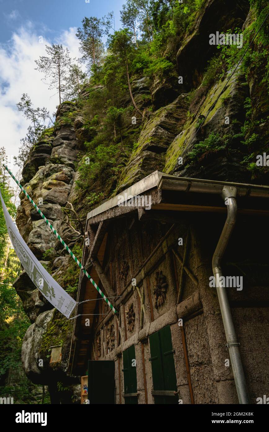 Vertical shot of a beautiful green forest with a wooden cabin on a ...