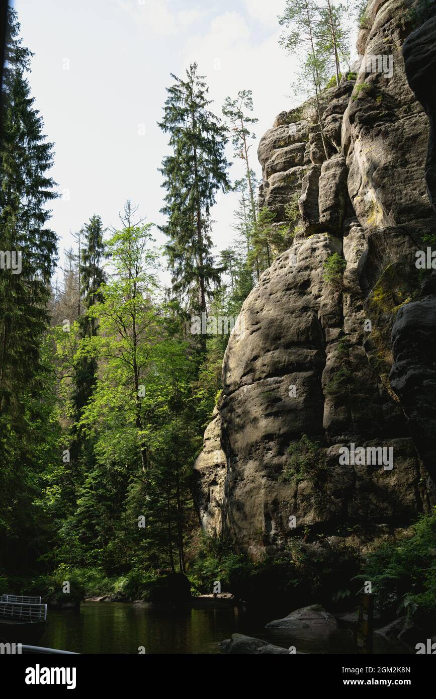 Forest on cliffside hi-res stock photography and images - Alamy