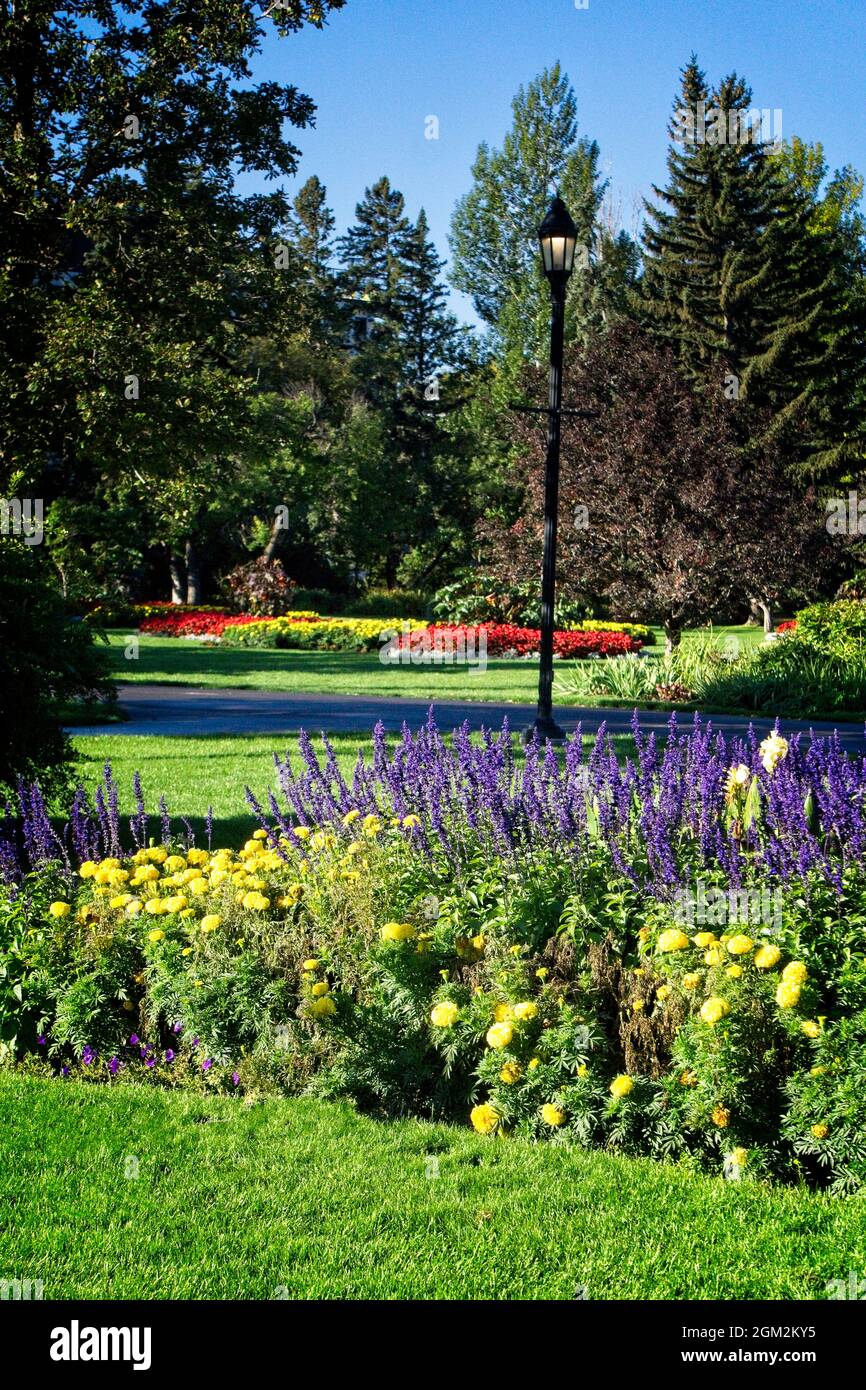 Calgary community hi-res stock photography and images - Alamy