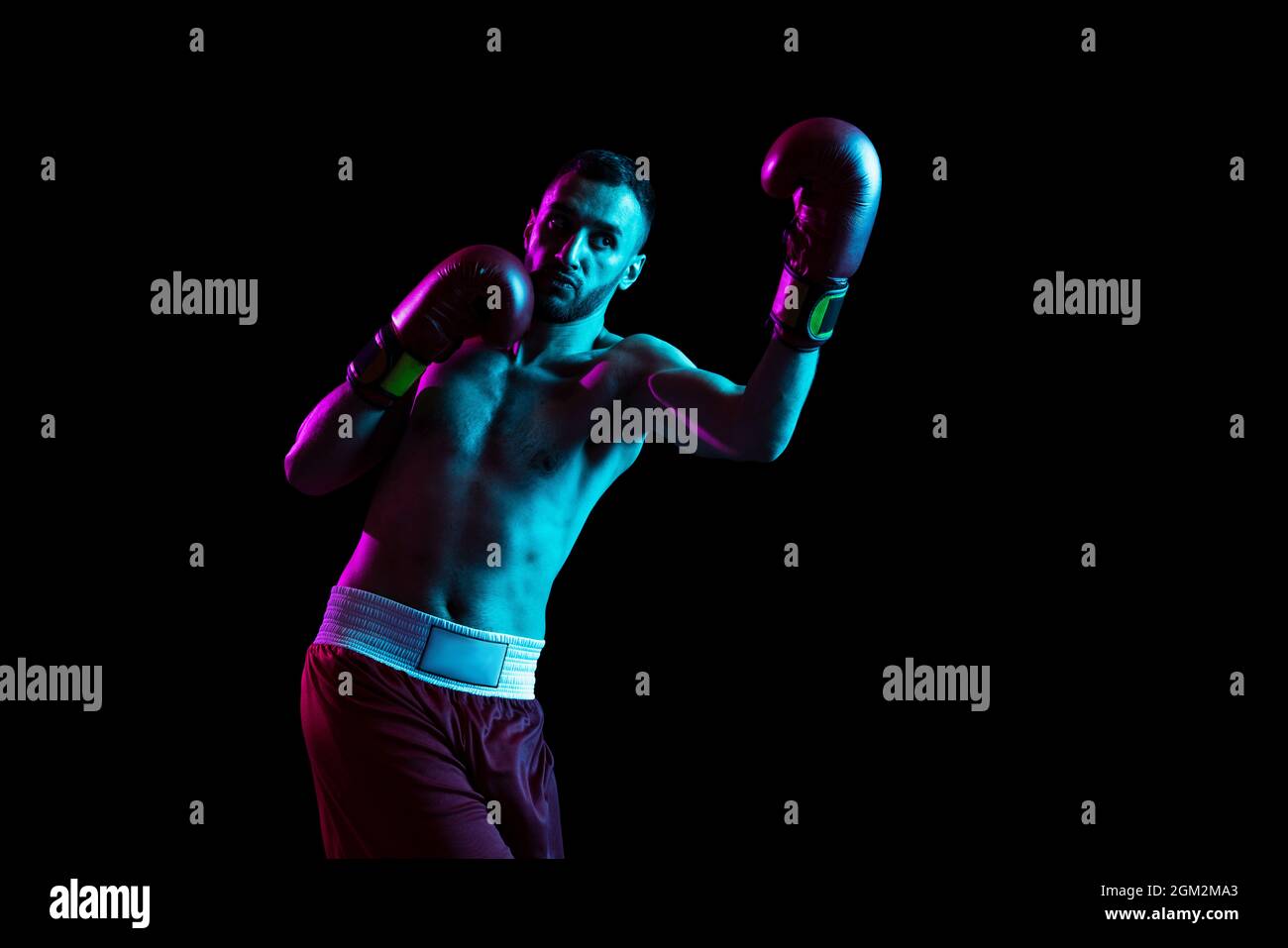 Portrait of one professional boxer training isolated over black ...
