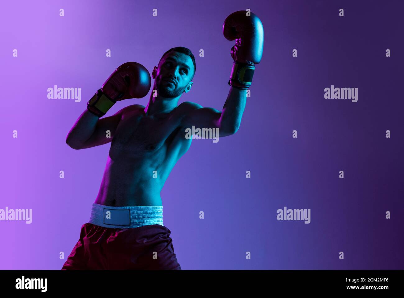 Portrait of one professional boxer in red shorts training, exercising ...