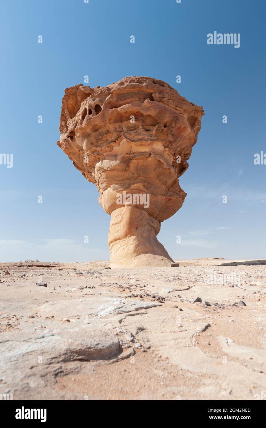 Sandstone rock formations of crazy shapes in the desert near Medina and ...