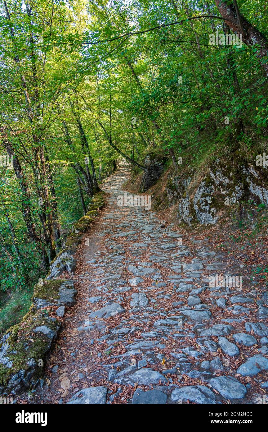 Mule track built for the Pilgrimage from Rapallo to the Sanctuary of ...