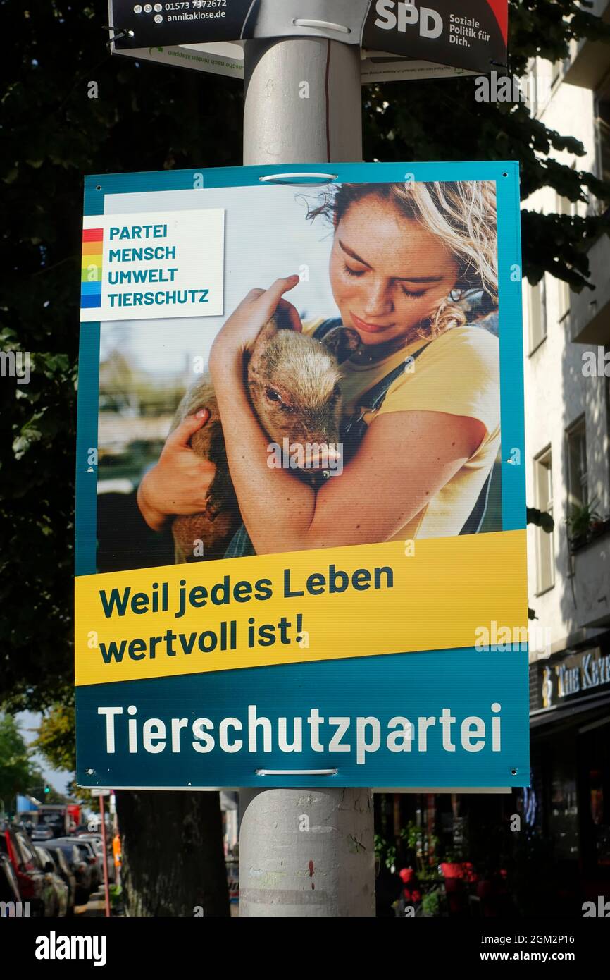 Human environment animal protection hi-res stock photography and images ...