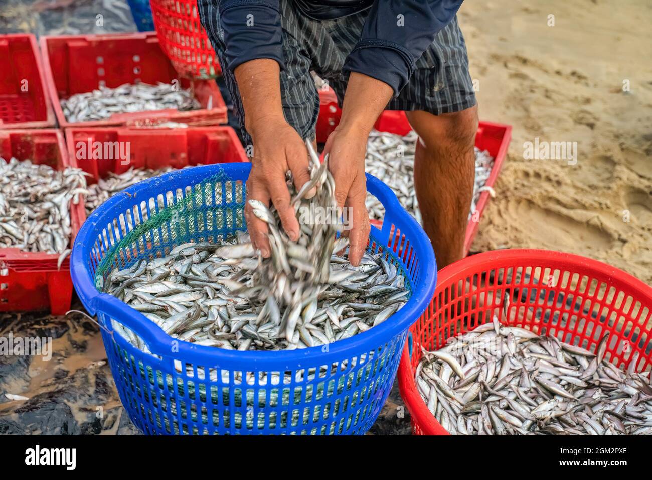 Tam tien hi-res stock photography and images - Alamy