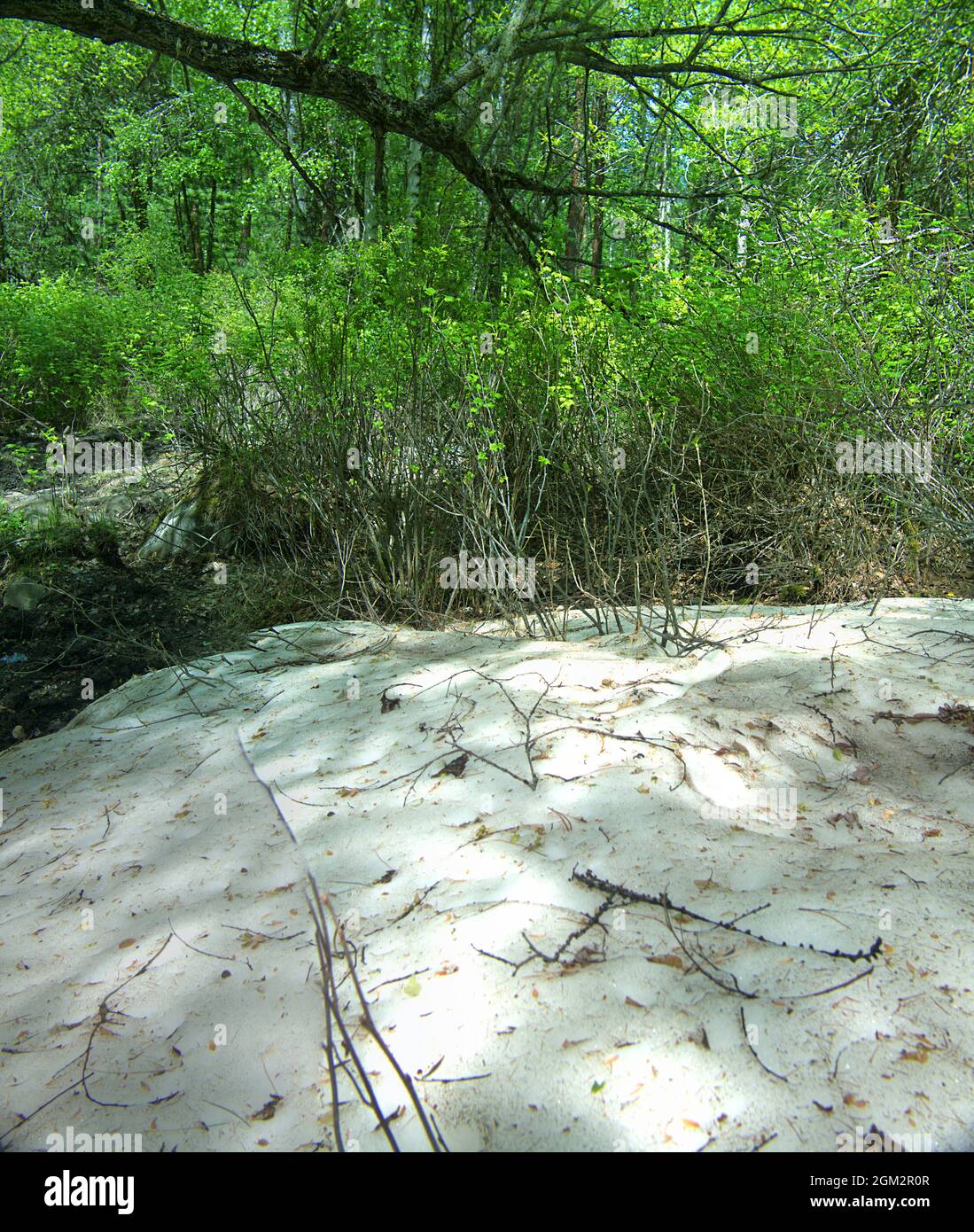 Firn ice hi-res stock photography and images - Alamy