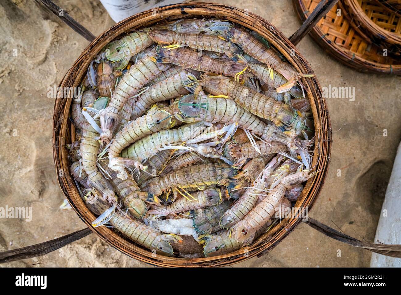 View of Tam Tien fish market, Quang Nam, Vietnam Stock Photo - Alamy