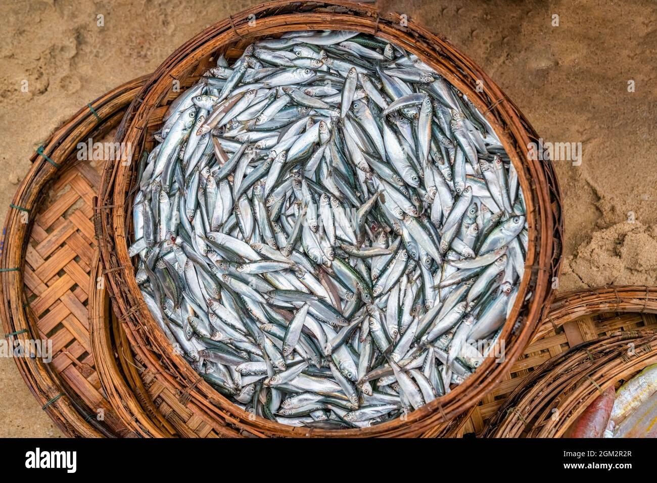 Aerial view tuna fishing hi-res stock photography and images - Alamy