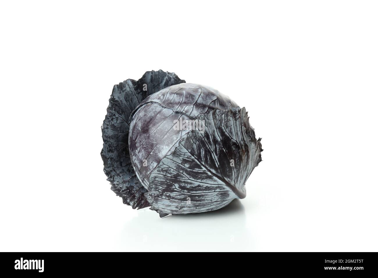Single fresh cabbage isolated on white background Stock Photo - Alamy