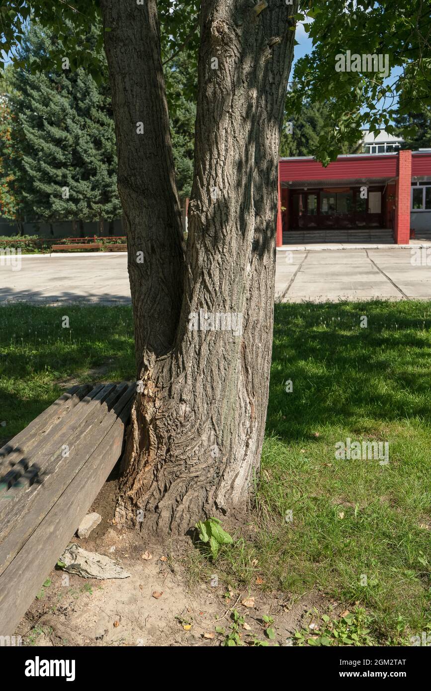 Empty school grounds hi-res stock photography and images - Alamy