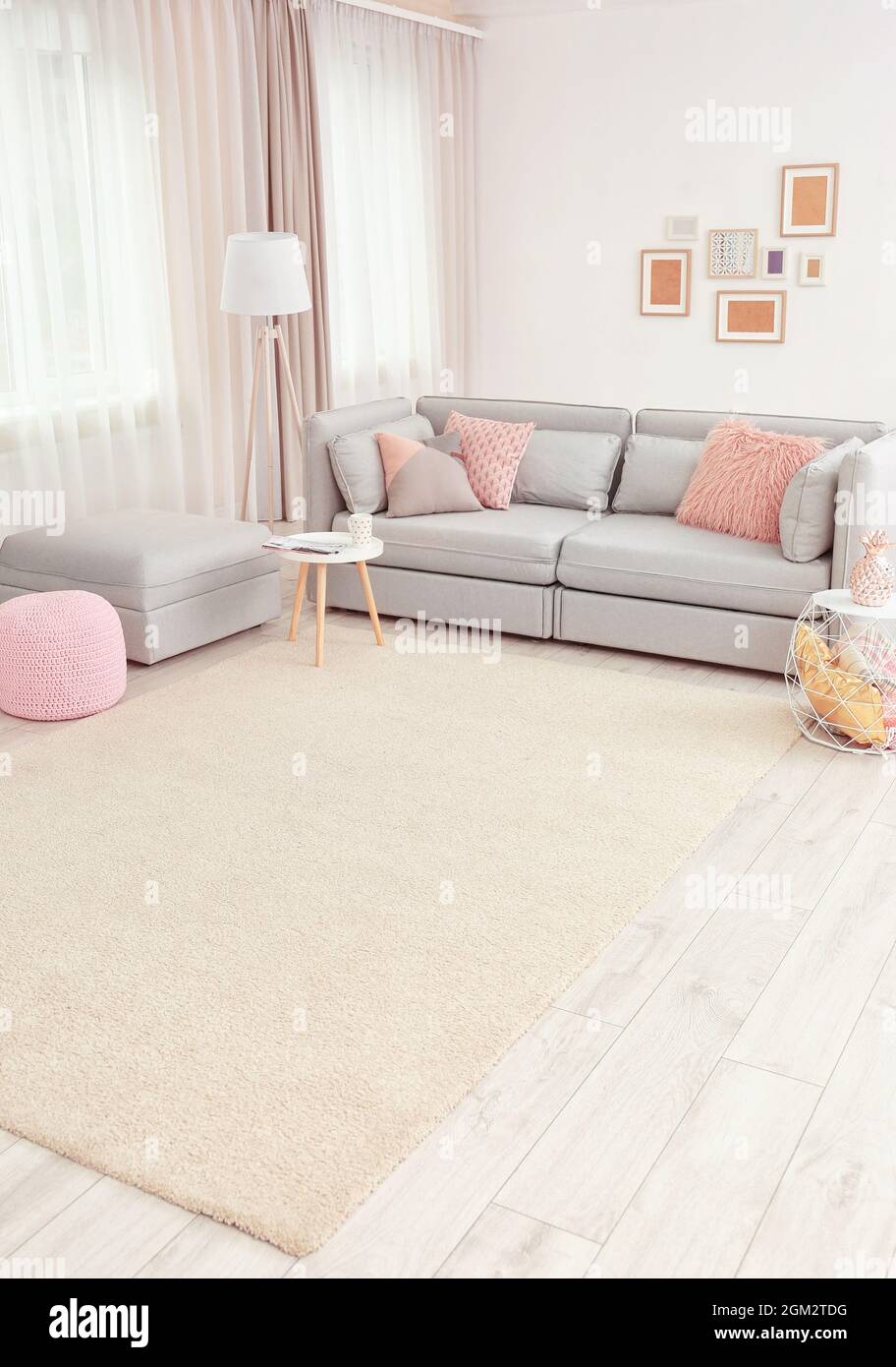 Modern living room interior with sofa and carpet Stock Photo - Alamy