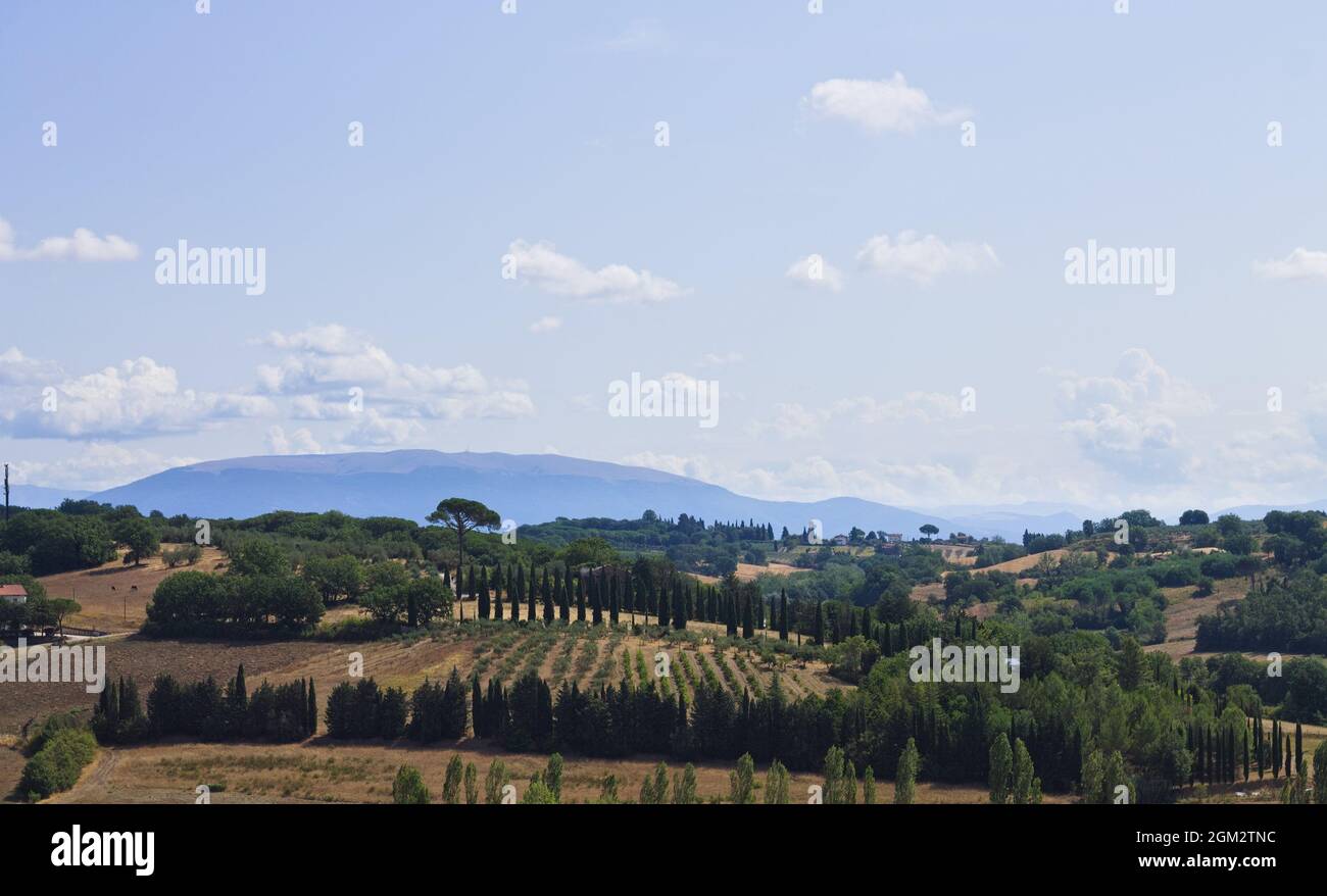 The view of a hilly landscape typical of the Tuscan countryside ...