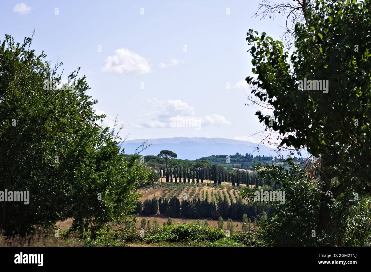The view of a hilly landscape typical of the Tuscan countryside ...