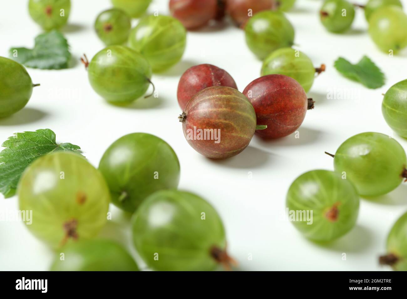 Close up indian gooseberry hi-res stock photography and images - Alamy