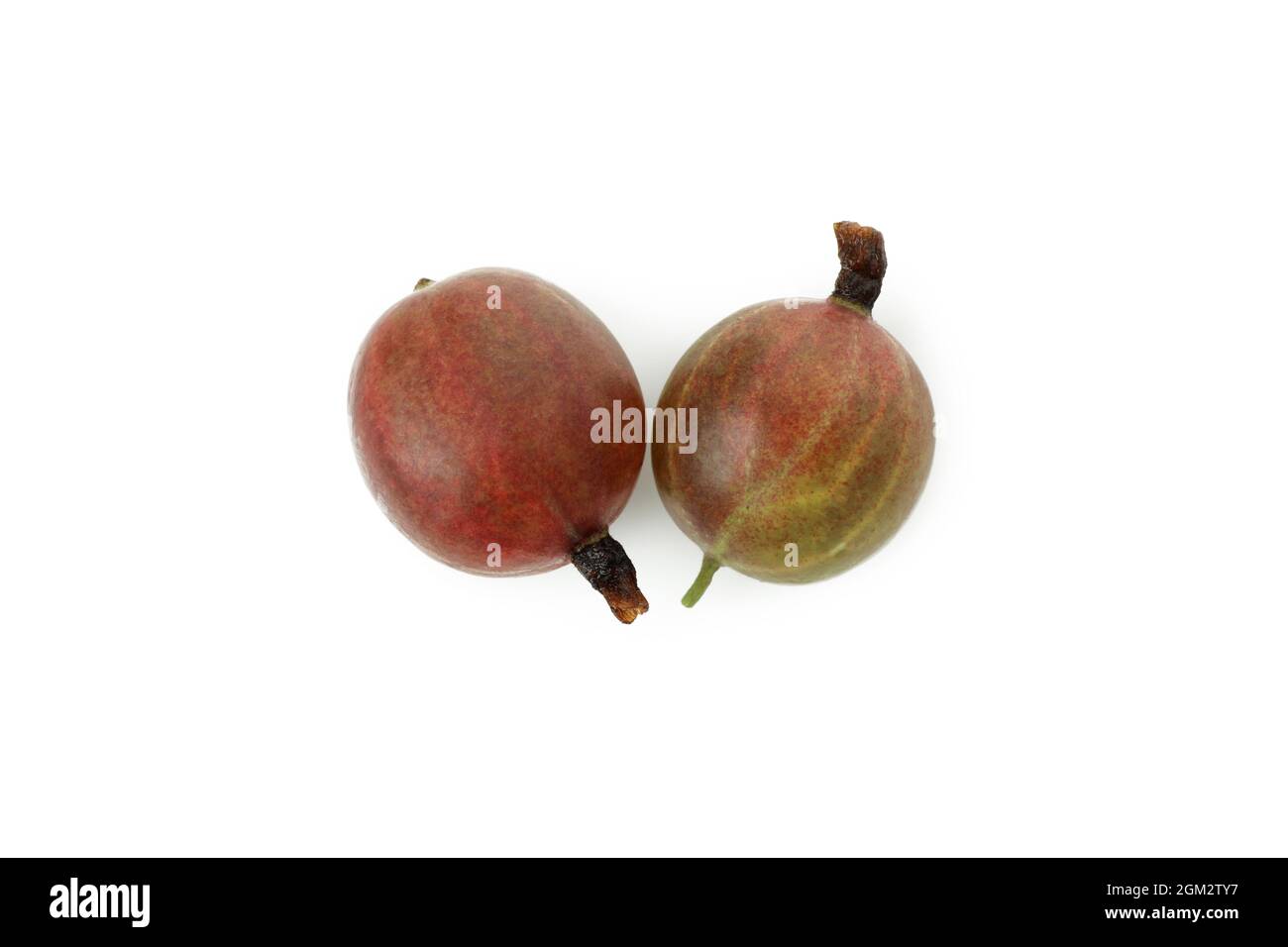 Ripe red gooseberry isolated hi-res stock photography and images - Alamy