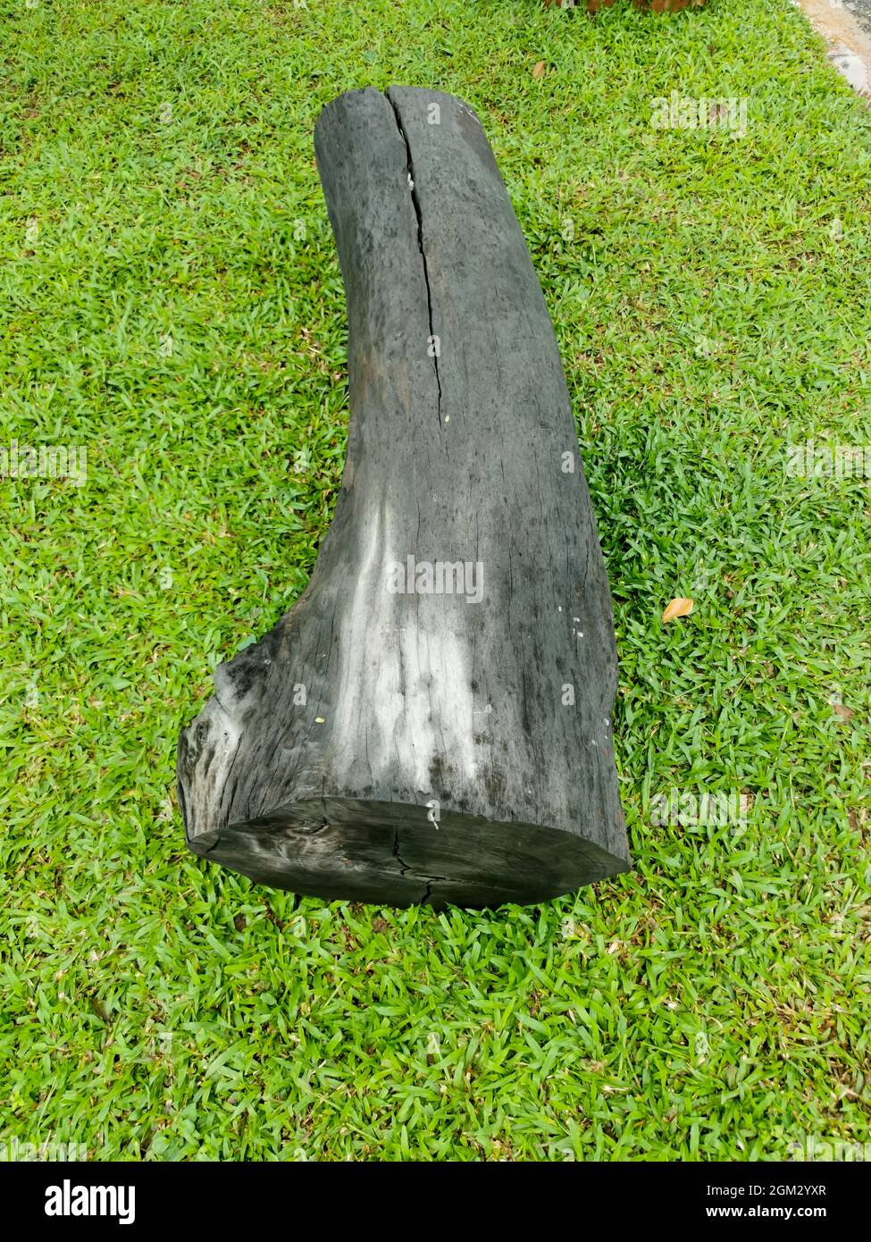 Isolated big log has black color on bright green grass Stock Photo - Alamy