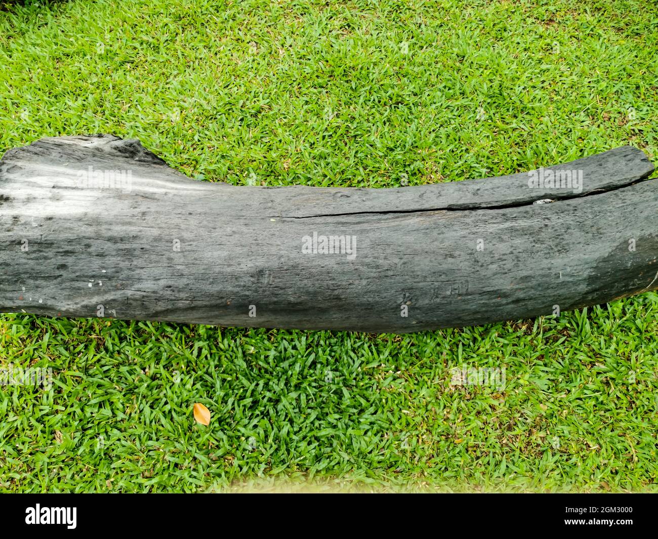 Isolated big log has black color on bright green grass Stock Photo - Alamy