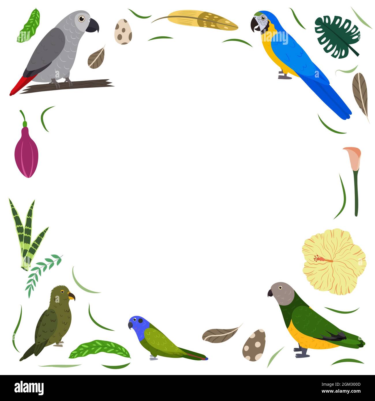 Frame template with cartoon exotic birds. Tropical rectangle ...