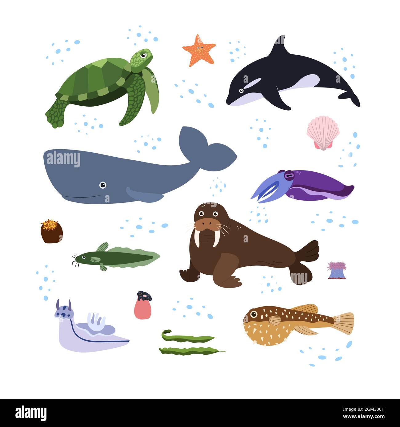 Sea Animals Template