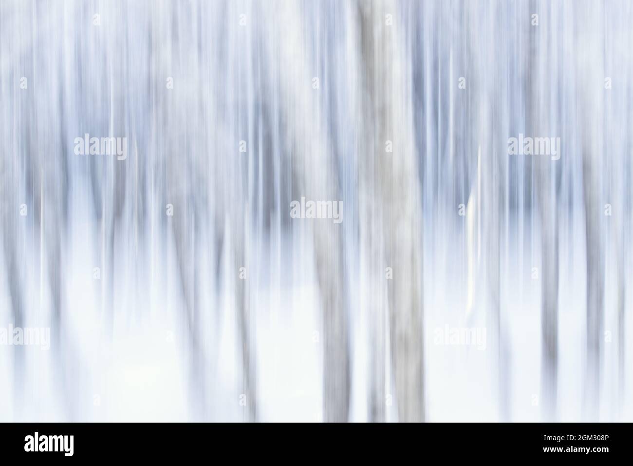 Fog motion hi-res stock photography and images - Alamy