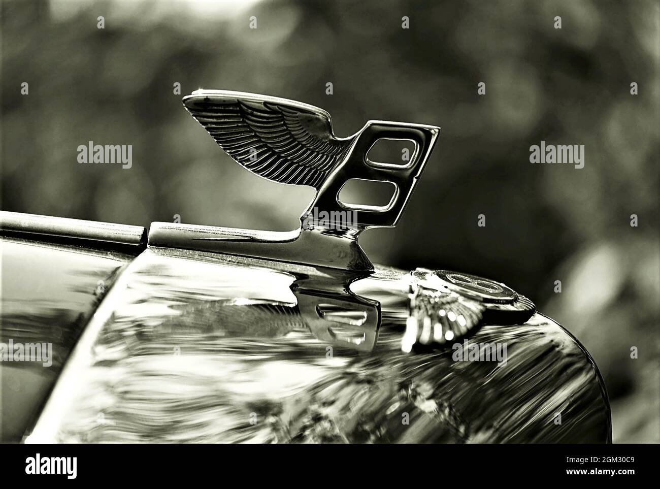 Classic Vintage Bentley - Badge Stock Photo - Alamy