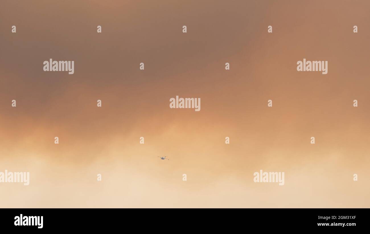 Red orange glow in the sky with black fire carcasses. Consequences of a ...