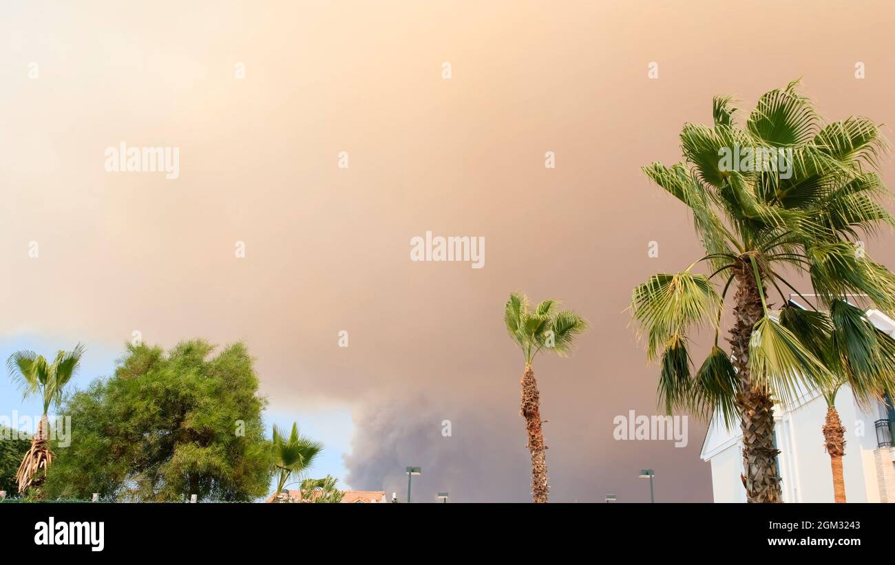 Campfire smoke in the sunset light against the backdrop of palm trees ...